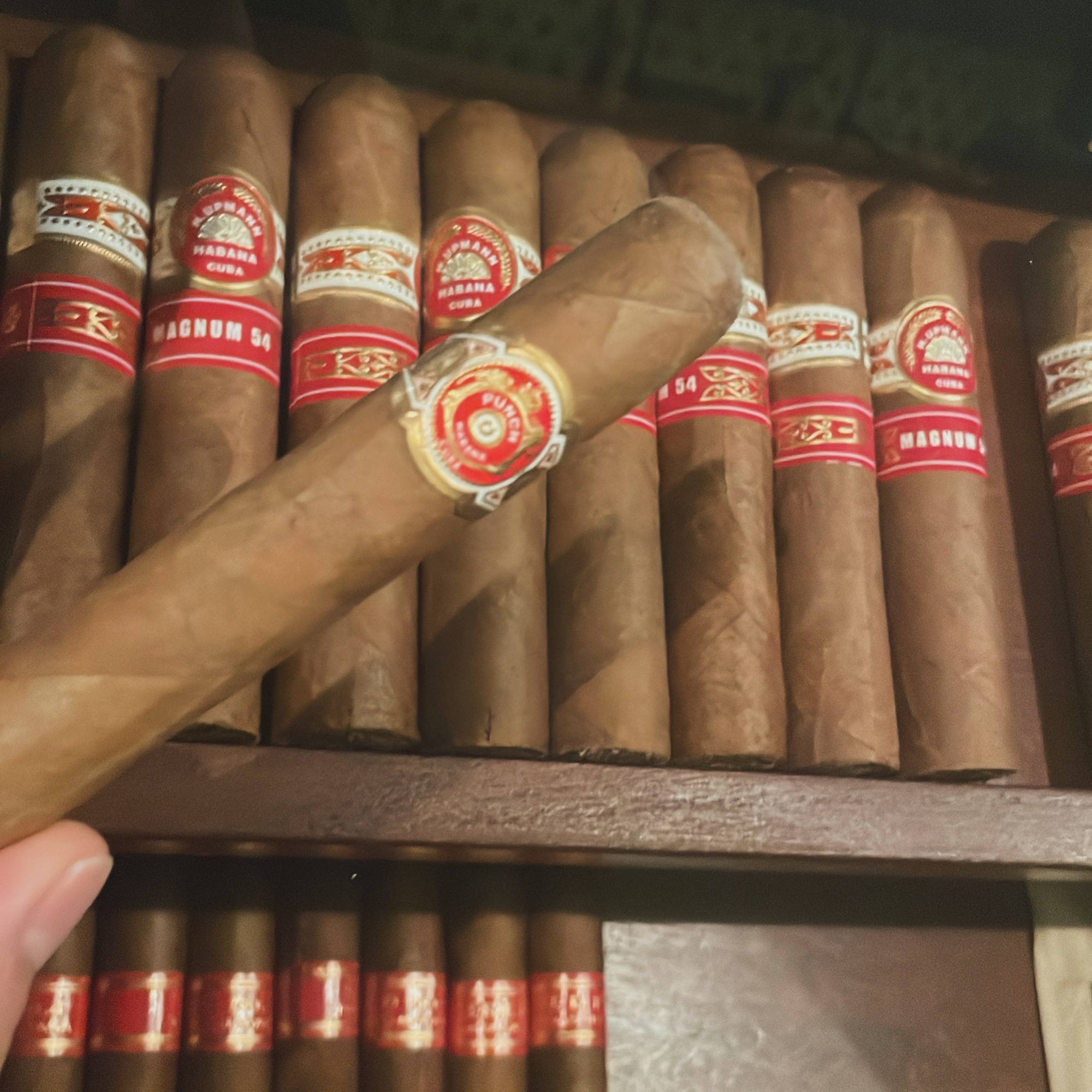 パンチ！ – Bar Rudies